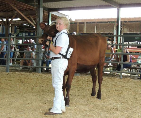 Heeter Sisters Grow Up With Ayrshires | Farm Shows, County Fairs ...