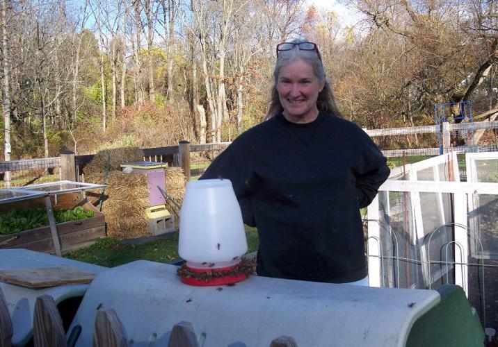 Cookie-Cutter Collection Inspires Holiday Baker | Farm and Rural Family ...
