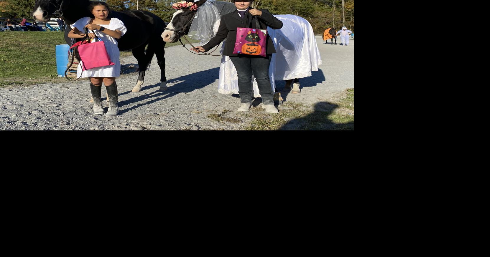 Harvest View Stables Provides Horse Riding Lessons | Horse News and ...