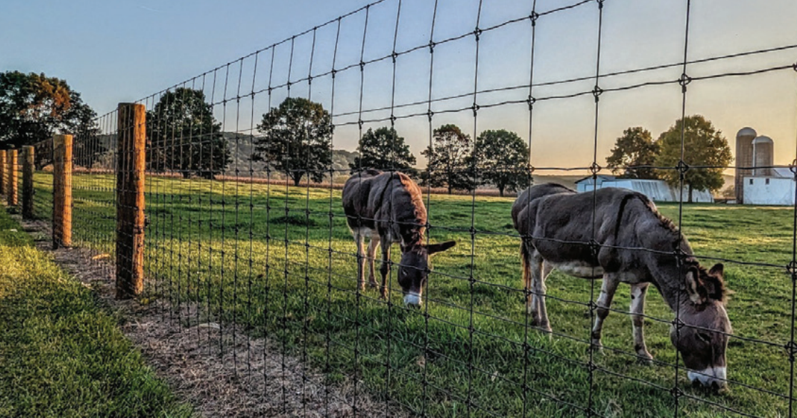 It’s a Good Day to Build Fence! | Sponsored Content | lancasterfarming.com