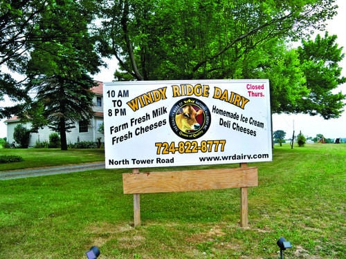 Windy Ridge Dairy Farm Taking a Chance on the Future | Dairy News ...