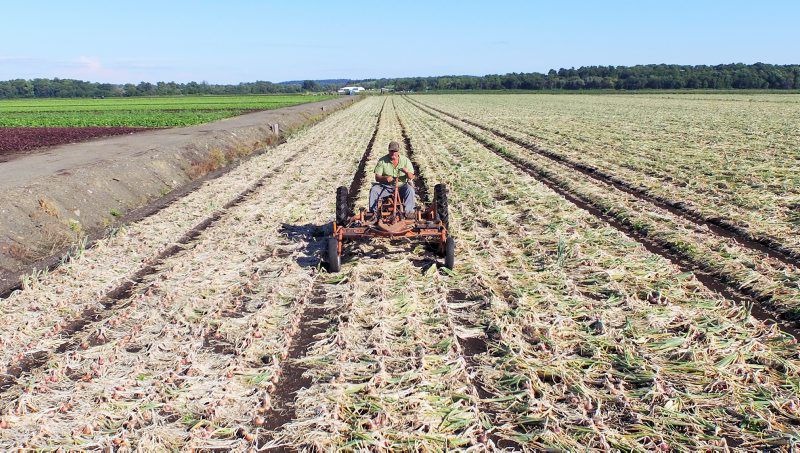 Controlling Their Destiny | Farm and Rural Family Life ...