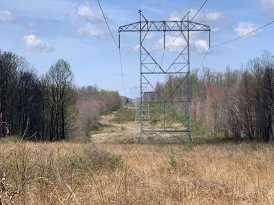 Electrifying Times at the Farm [Opinion] | Farm and Rural Family Life ...