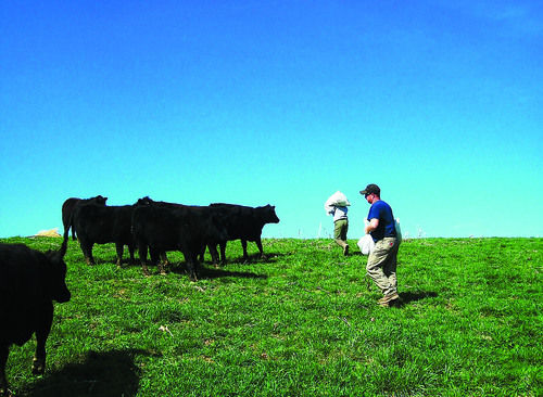 Lucas Farm Known for Its Quality Brood Stock | | lancasterfarming.com