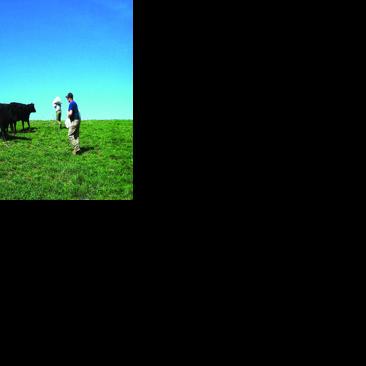 Lucas Farm Known for Its Quality Brood Stock | | lancasterfarming.com