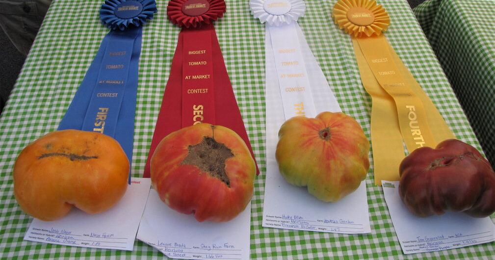 Annual Tomato Festival Celebrates Delaware’s Harvest | Farm Shows ...