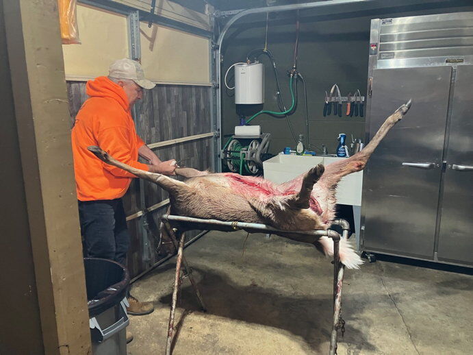 Pennsylvania Deer Processors Provide Essential Hunting Service ...