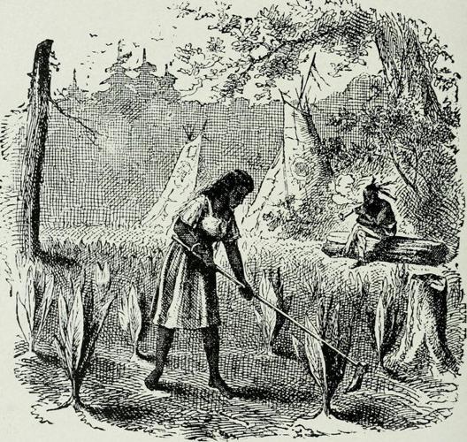 The Struggle Between Native and Colonial Farming Practices in New ...