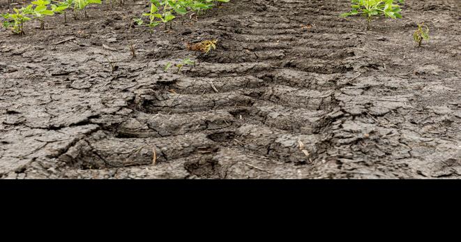 How To Avoid Soil Compaction During Corn and Soybean Harvest | Field ...