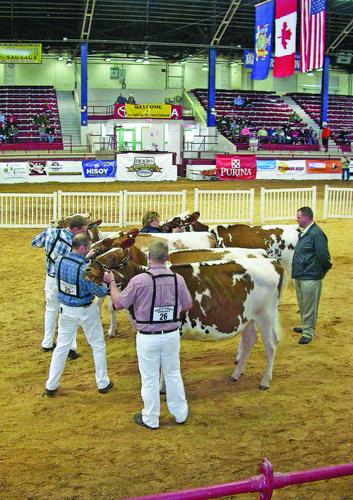 Dairy Carousel Garners Worldwide Attention | | lancasterfarming.com