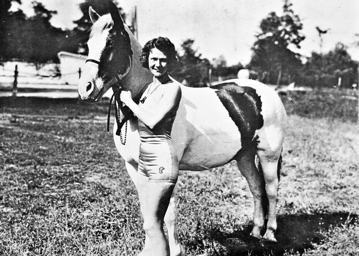 The Rise and Fall of the Diving Horse Act in American History | Horse ...