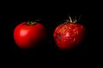 Is That Tomato Rotten Or Is It Safe to Eat? | Gardening Tips and How-To ...