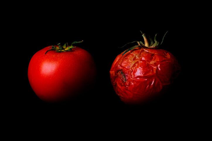 Is That Tomato Rotten Or Is It Safe to Eat? | Gardening Tips and How-To ...