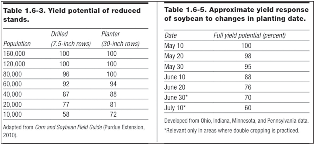Time To Make Replant Decisions for Corn and Soybean | Field Crop News ...