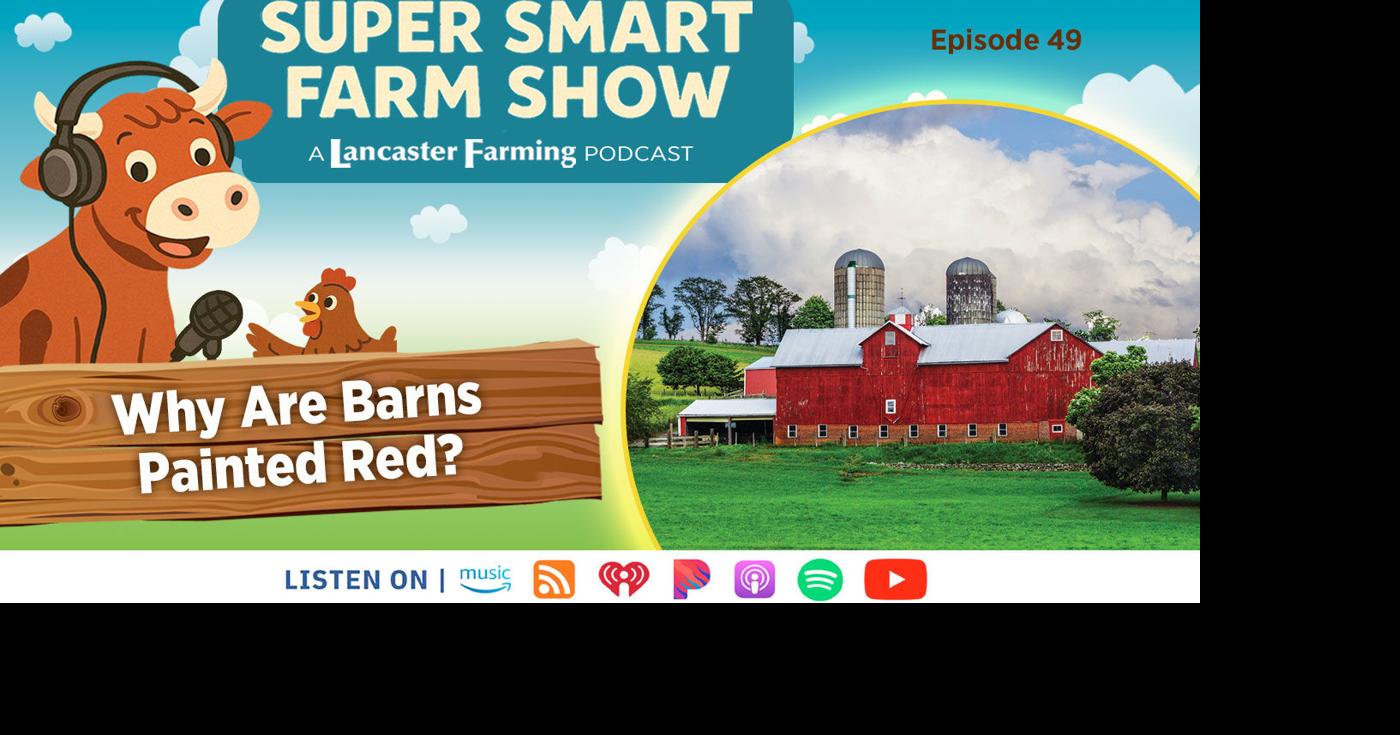 Why Are Barns Painted Red? | Super Smart Farm Show | lancasterfarming.com