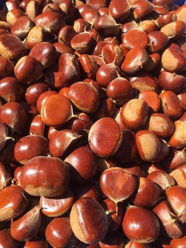 Pennsylvania Chestnut Farm Spreads Christmas Cheer Far and Near ...