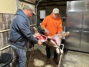 Pennsylvania Deer Processors Provide Essential Hunting Service ...