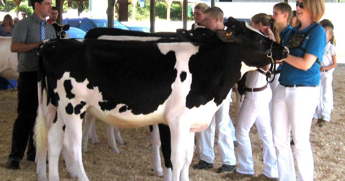 Conant Acres Adds to Already Impressive Resume | | lancasterfarming.com