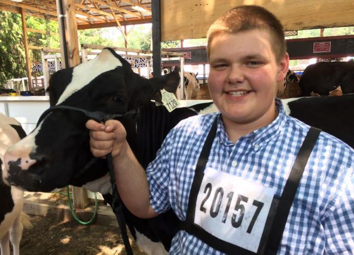 Delicate Dairy Cow Takes Top Honors in Saratoga | Dairy News ...