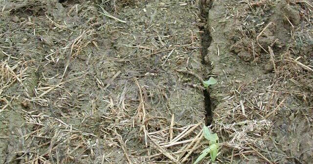 Plant at the Proper Soil Moisture to Avoid Sidewall Compaction | Field ...