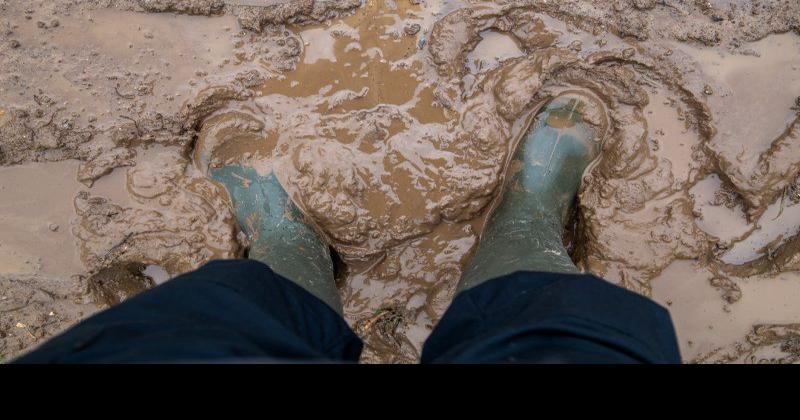 Manure Pit Fatalities Spur Toxic Fumes Awareness | Farming and ...