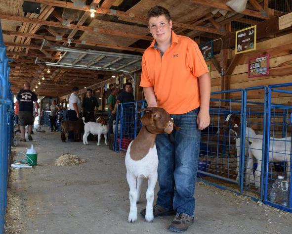Solanco Showman Adds Another Win | Farm Shows, County Fairs, Events and ...