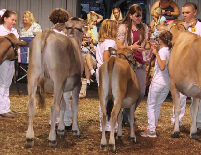 Teamwork Wins Day for Shippensburg Showmen | News | lancasterfarming.com