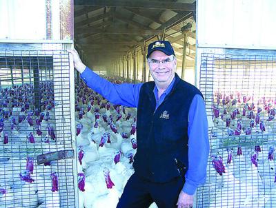 Jaindl Farms Stamps Its Brand on Thanksgiving | Farming and ...