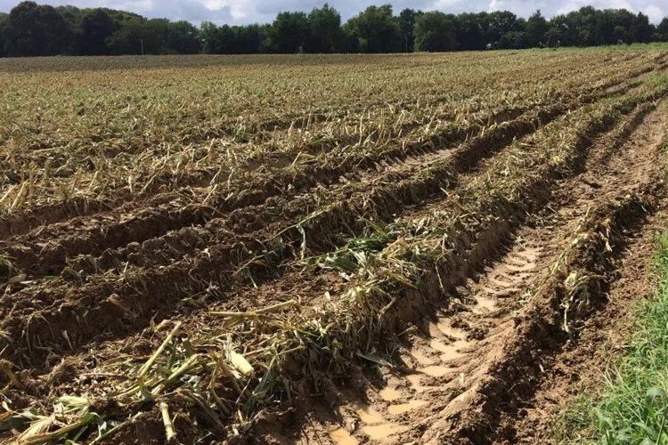 Reduce Soil Compaction for Healthier Crops | Field Crop News ...