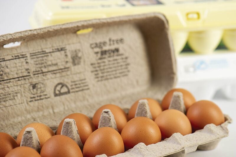 Free Range or Cage Free: The Real Meaning Behind Egg Carton Labels ...
