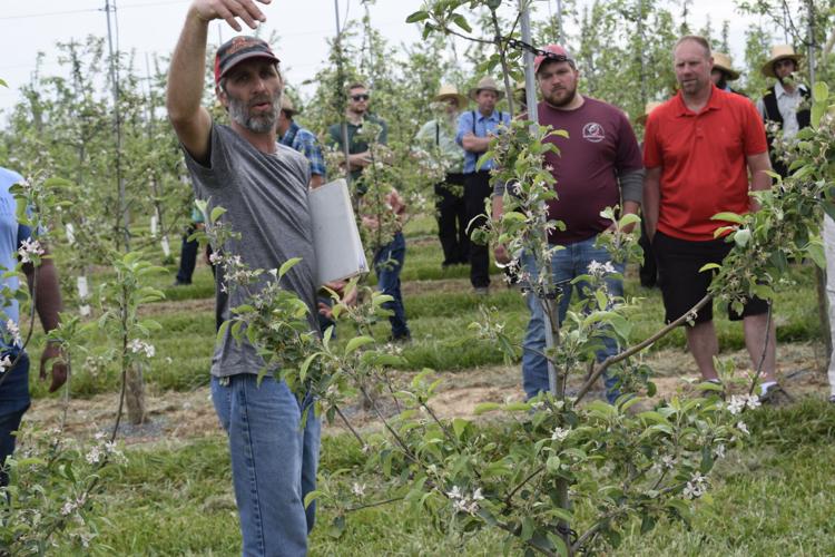 Fruit Growers Learn About New Apple Varieties and Blotch Control at ...