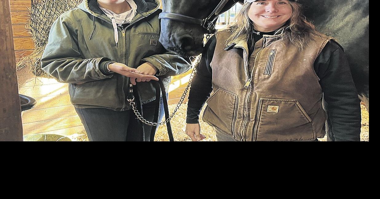 Horse Massage Therapist Provides a Soothing Experience | Horse News and ...