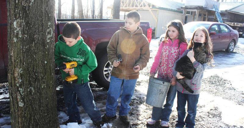 Emerick Family Excels With Maple Syrup | Antiques, Collectibles ...