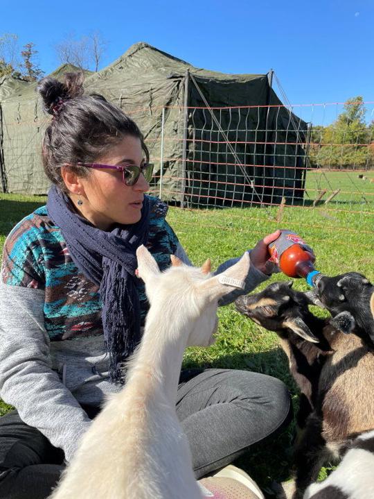 Goat Yoga at Steinmetz Family Farm | Outdoor Sports, Hunting and DIY ...