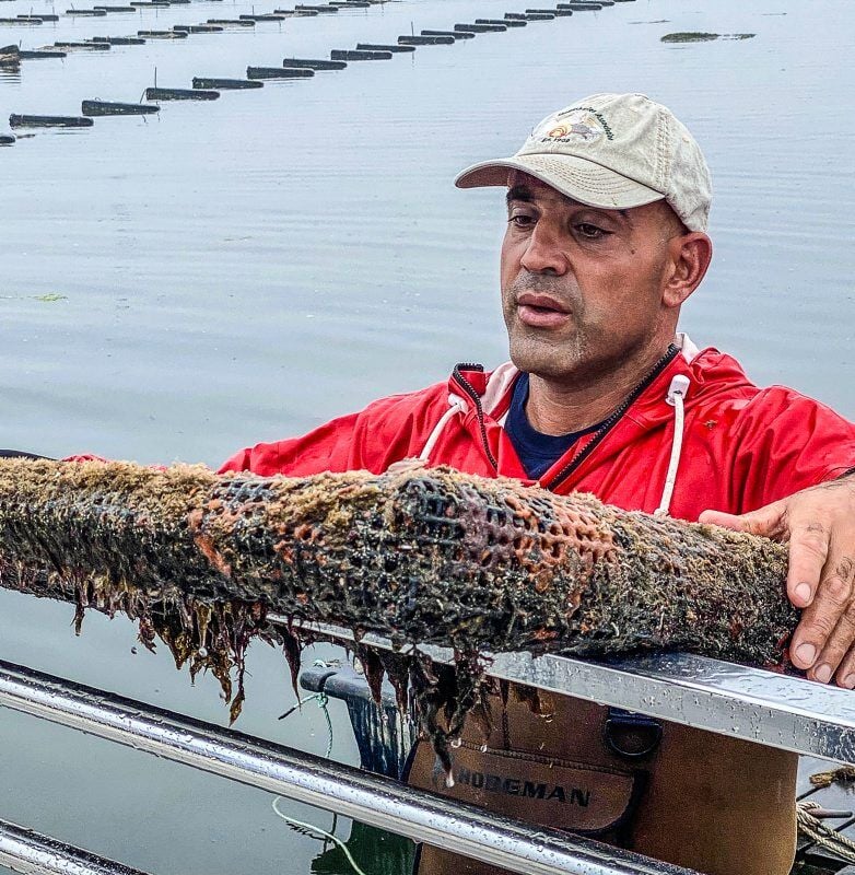 Rhode Island Oyster Farmer Leads the Way in Aquaculture | Livestock ...