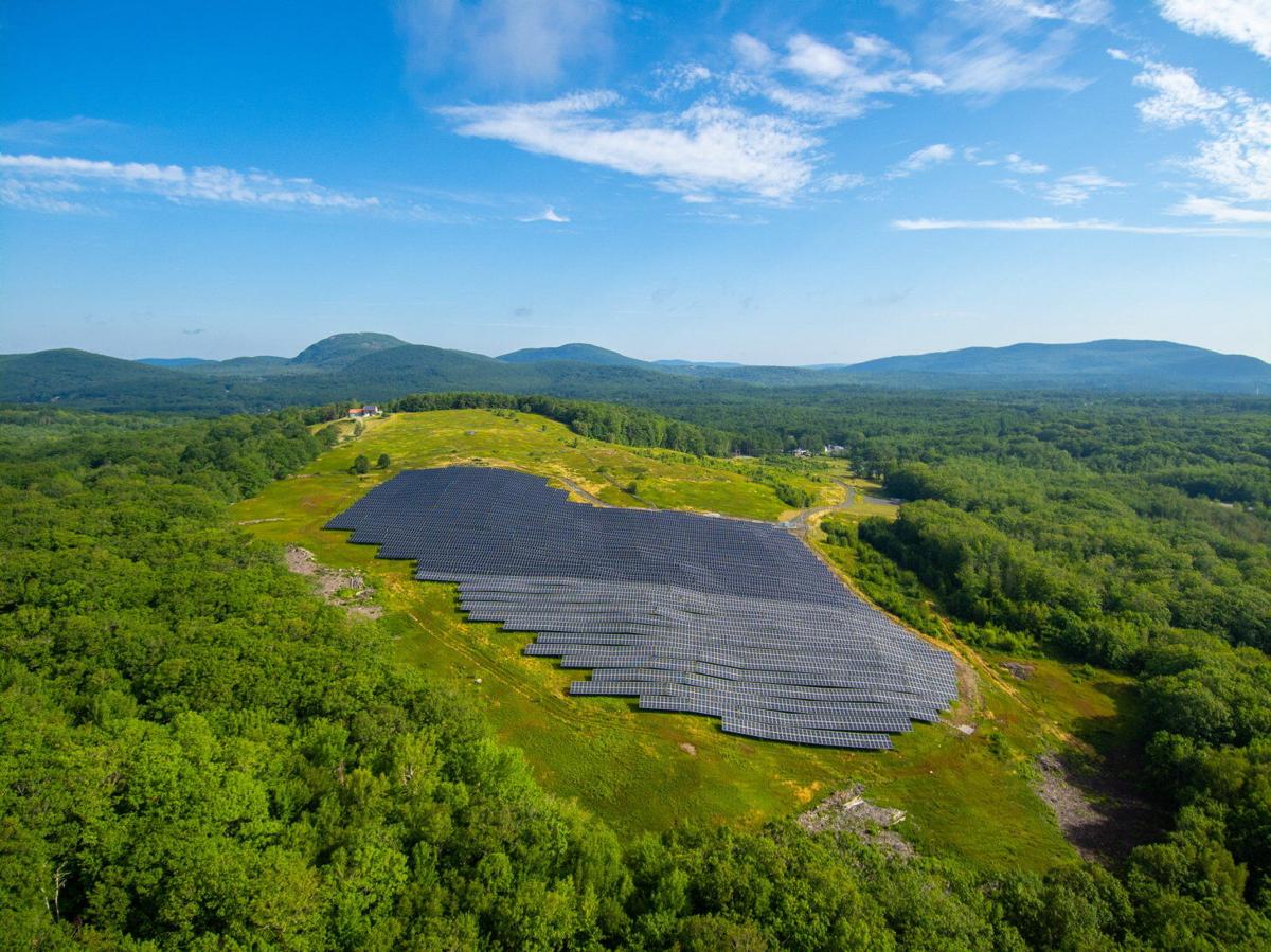 Solar Developer BlueWave Sees Panels Meshing With Many Types of Farming ...