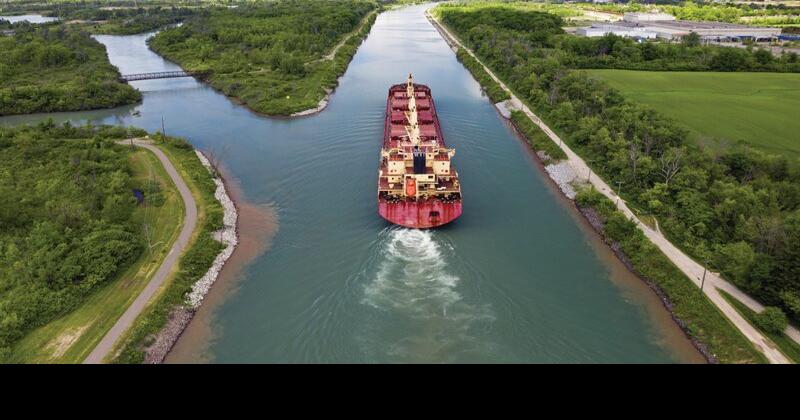 Export Group: Ships Not Taking Farm Cargoes | Farming and Agricultural ...