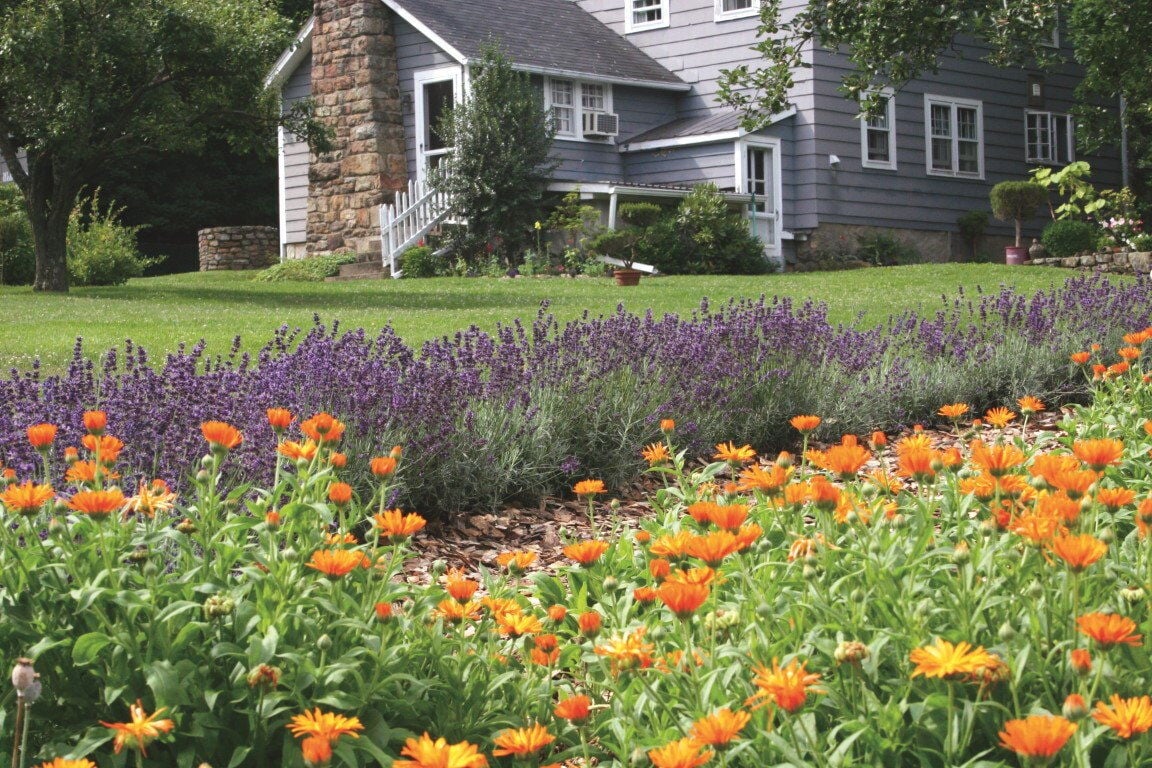 Well-Sweep Herb Farm Is a Herbal Paradise in the Garden State ...