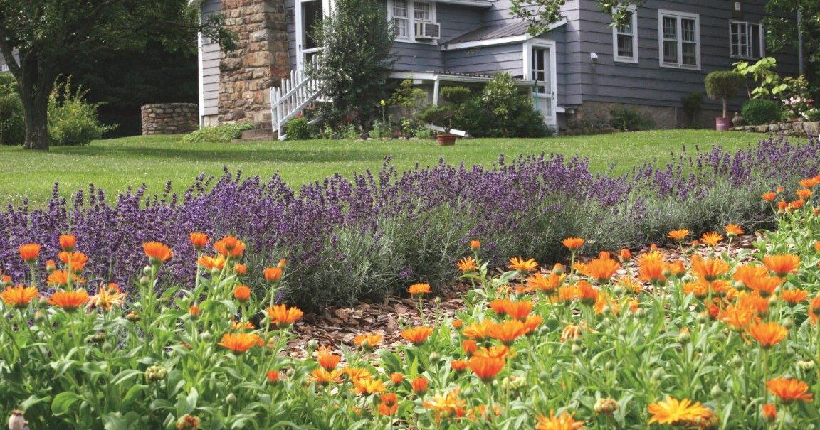 Well-Sweep Herb Farm Is a Herbal Paradise in the Garden State ...
