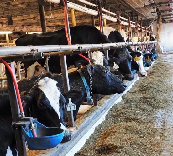 Automation and Grit Help Grube Family Carry on After Dad’s Stroke ...