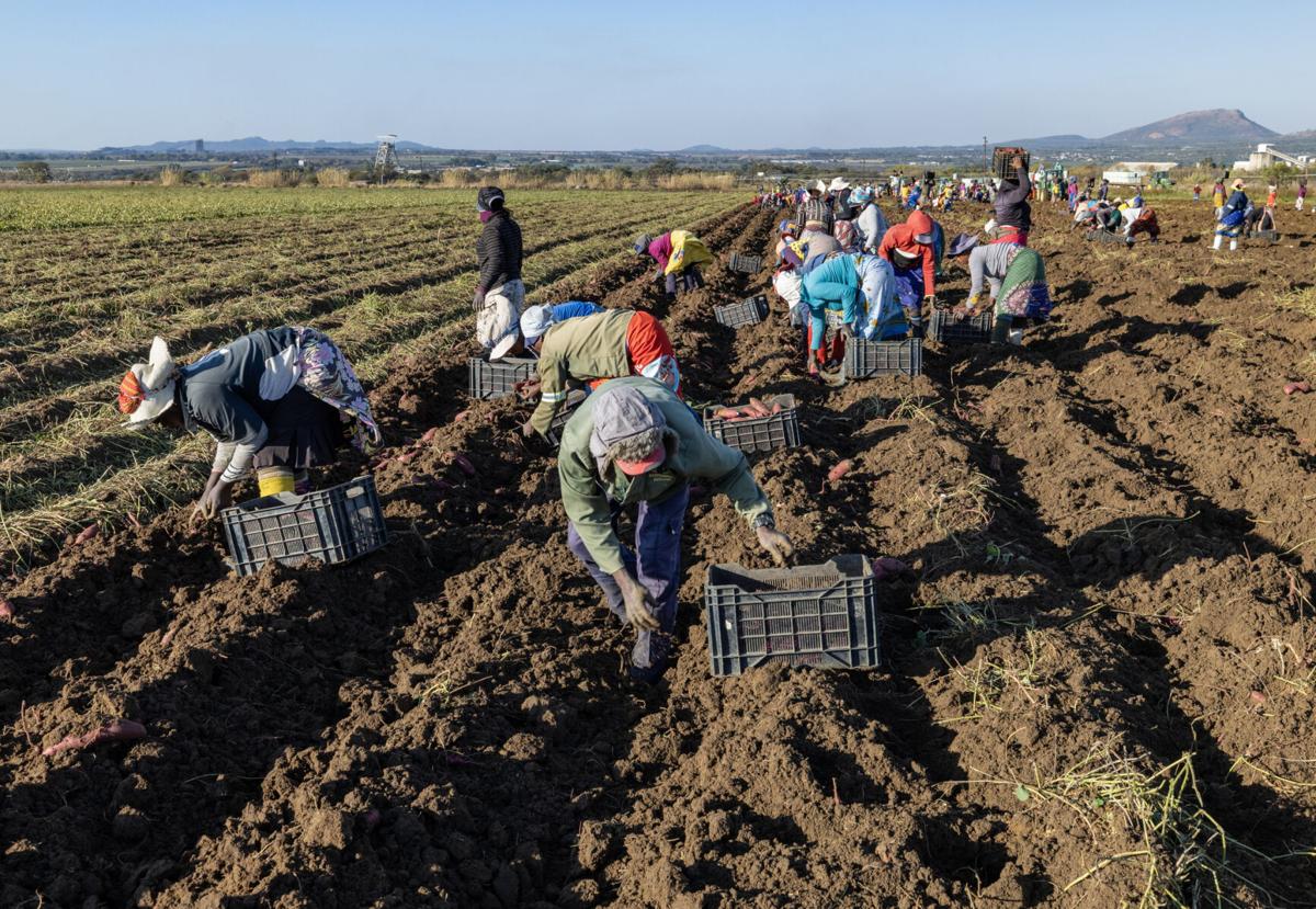 Farm Employers Should Brush Up on I-9 Work Forms | Farming and ...