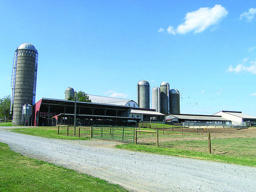 Dairy of Distinction: Cook Family Farm | Dairy News | lancasterfarming.com