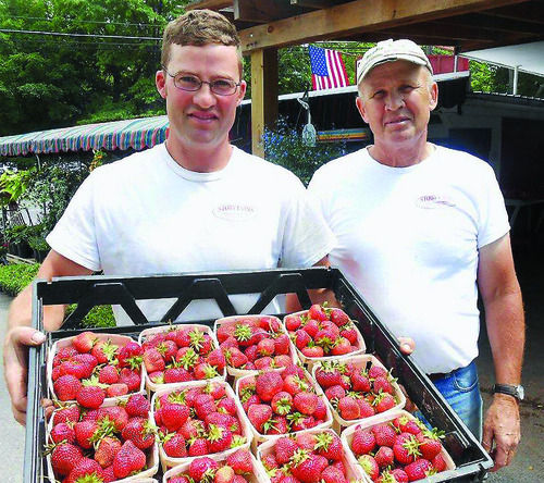 Strawberry Grower Enjoys the Fruits of His Labor | | lancasterfarming.com
