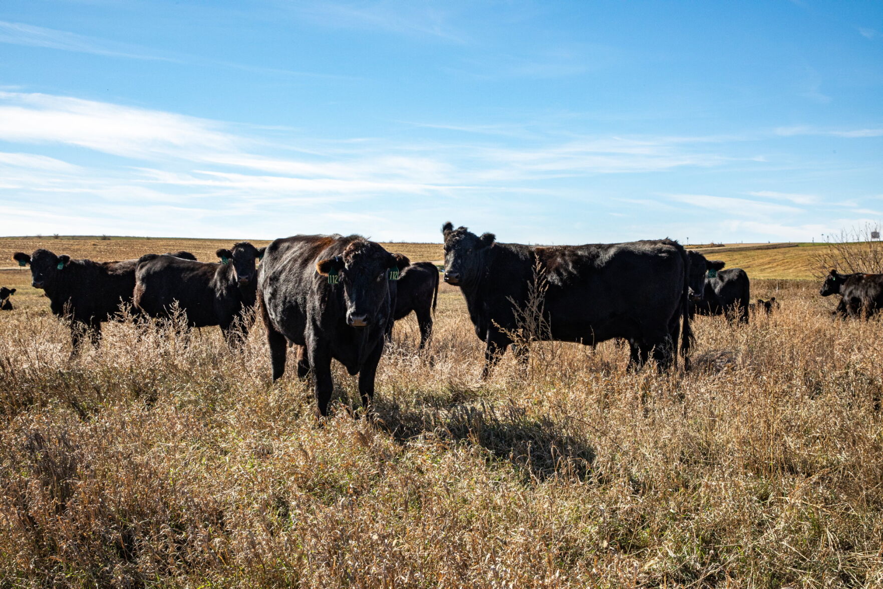10 States with the Highest Proportion of Farmers in the Population ...