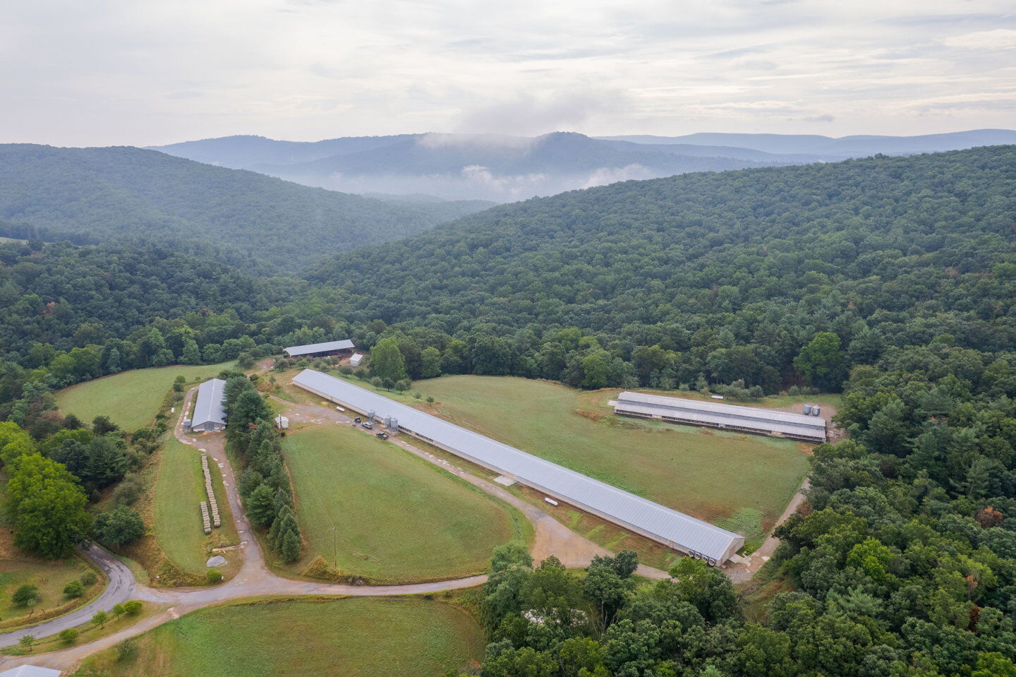 Virginia Turkey Grower Co-Op Thankful for 20 Years of Growth | Poultry ...