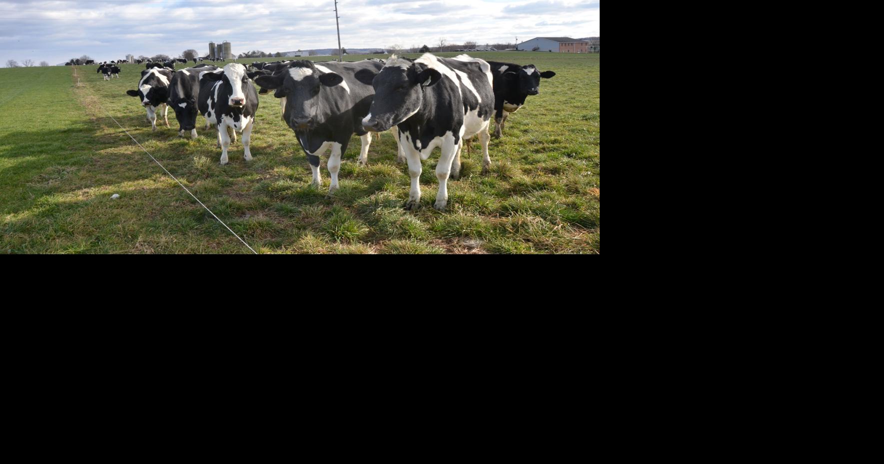 Lancaster Farming Announces June Dairy Recipe Contest | Seasonal Food ...