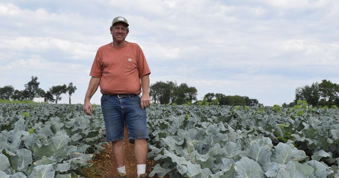 Bringing in the Broccoli: Oak Grove Farms Grows Its Retail and ...