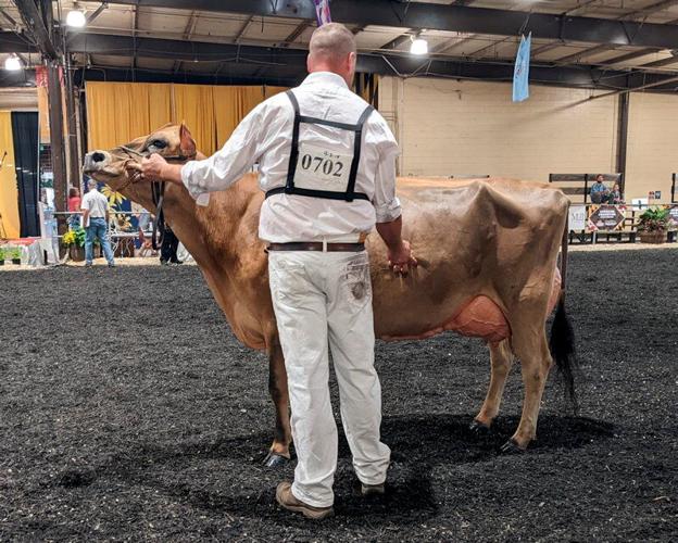 Dairy Exhibitors Encourage Hard Work at Maryland State Fair | Farm ...