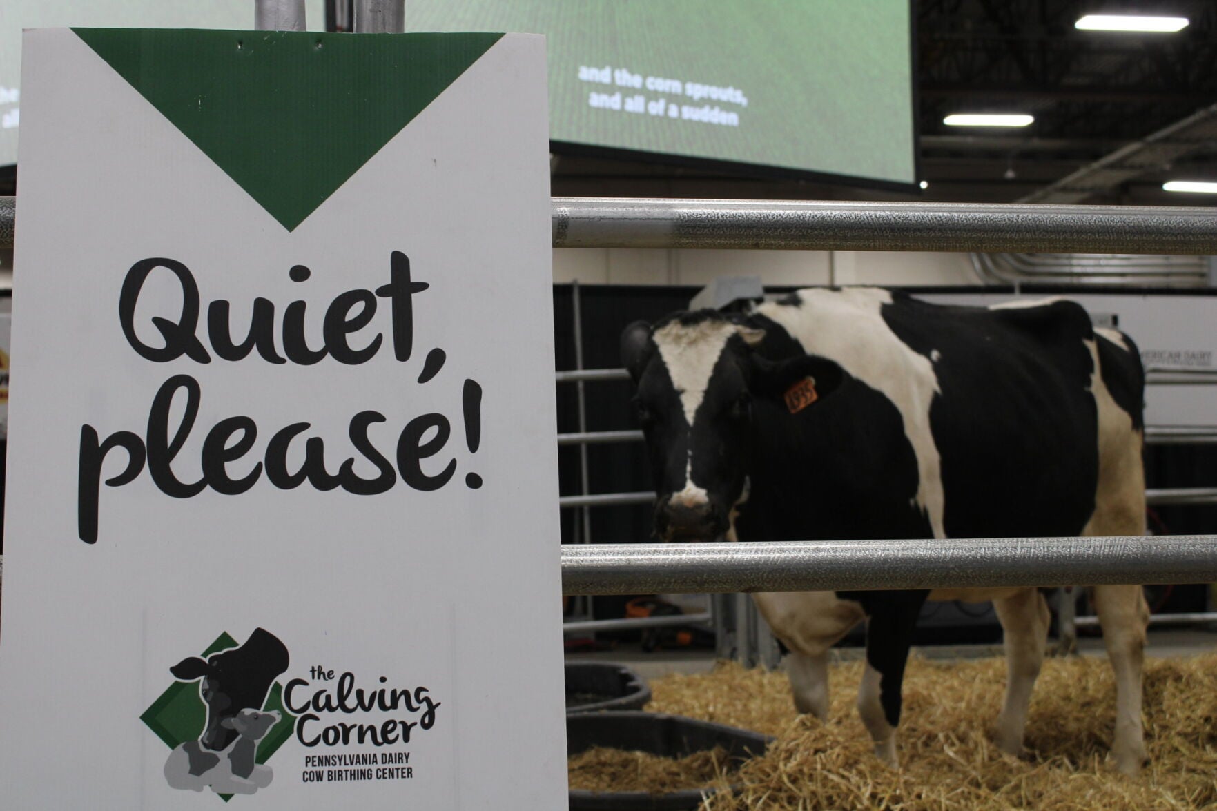 Calving Corner Stillbirth Exemplifies Importance of Being Vulnerable ...