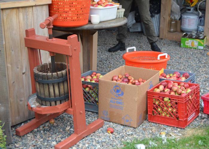 Hard Cider Production Is Focus of DIY Cider Camp | Agriculture ...